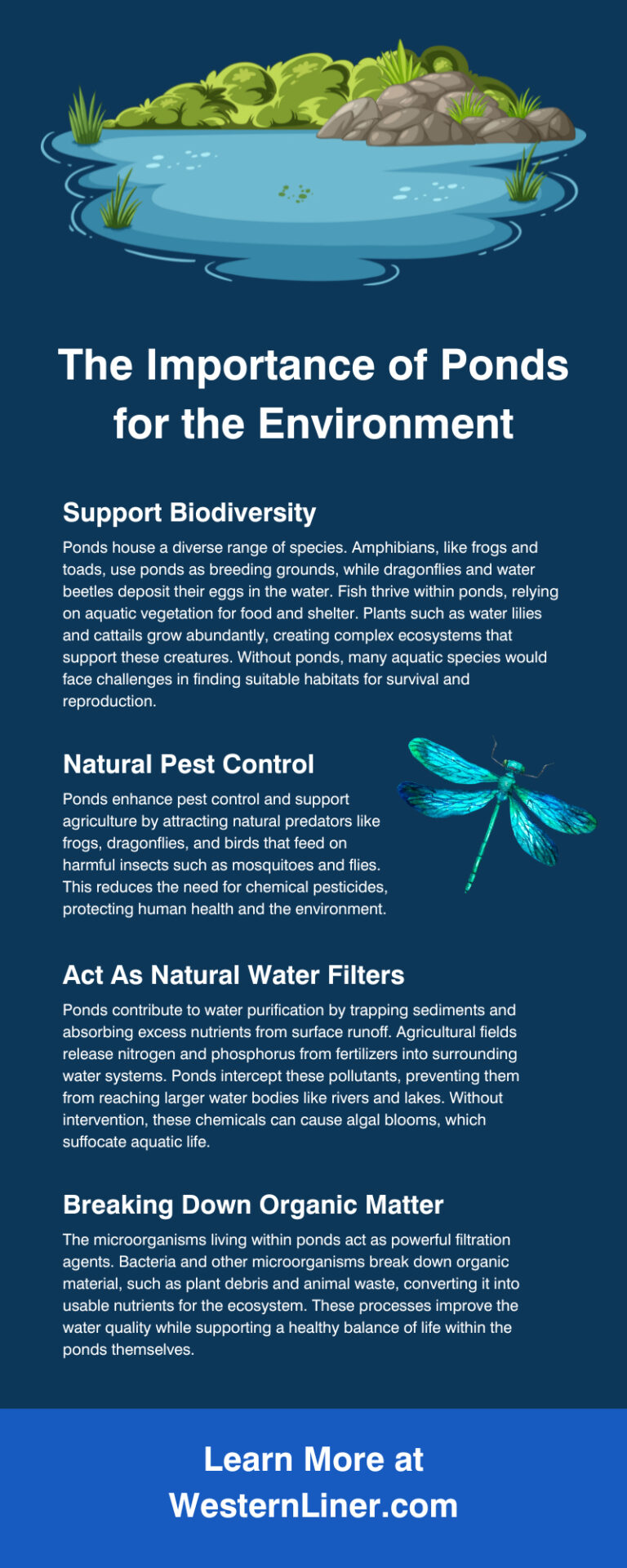 The Importance of Ponds for the Environment